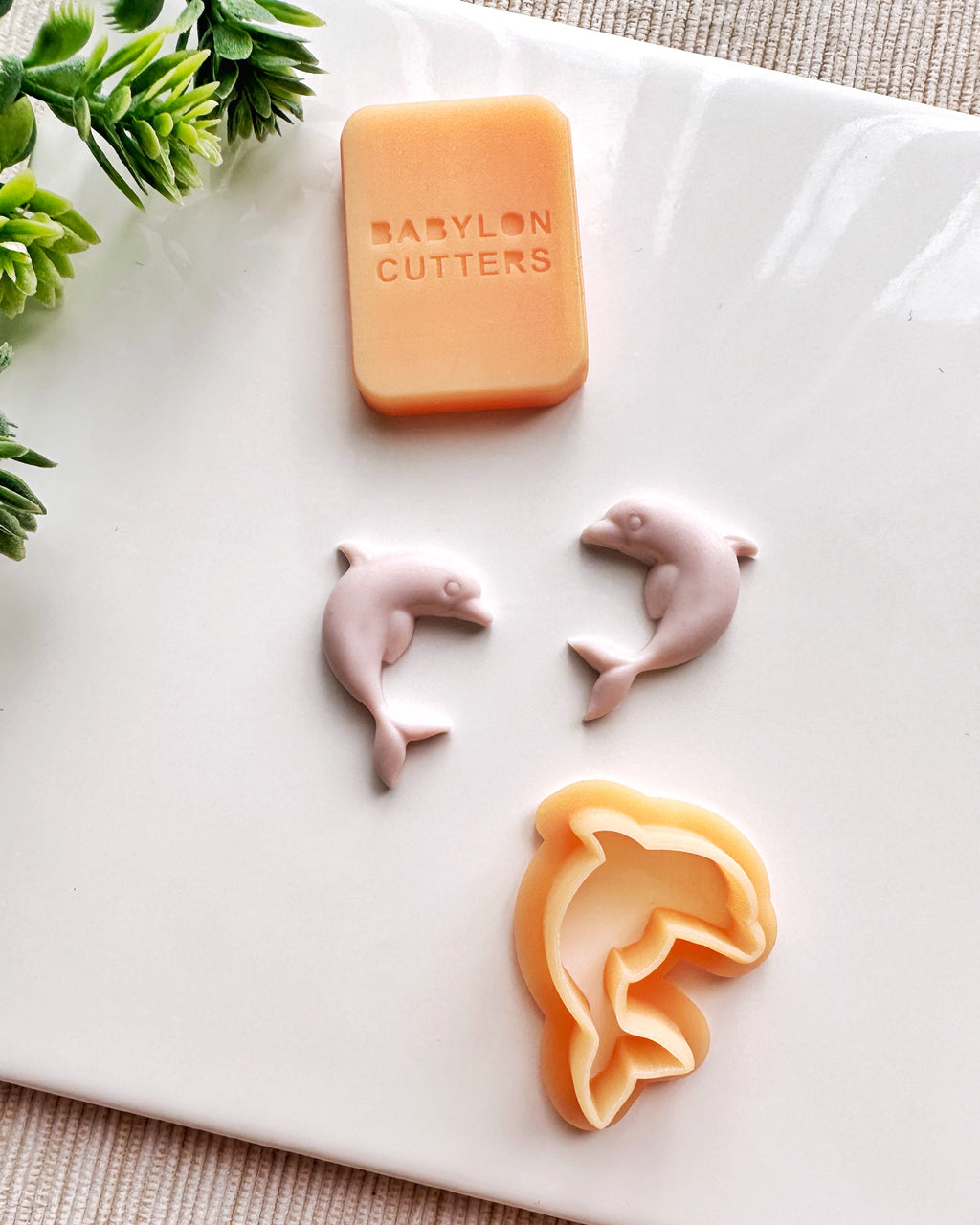 Dolphin 3D Clay Cutter & Mold - 3D Cutters – BabylonCutters