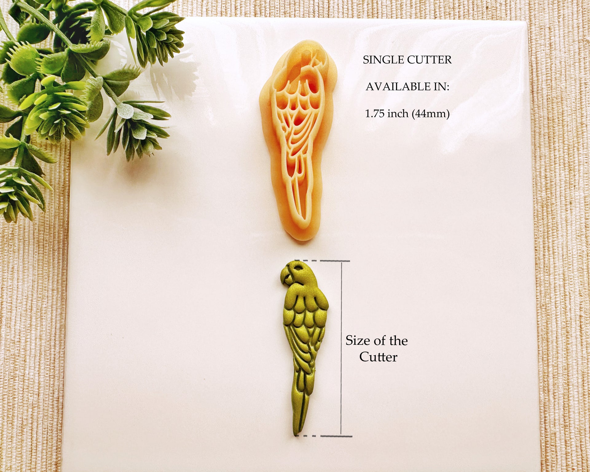 Embossing Parrot Summer Clay Cutter – BabylonCutters