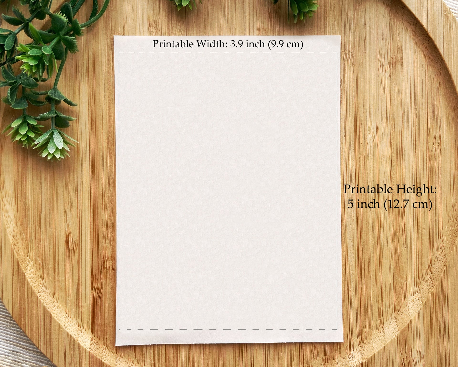 Custom Transfer Sheet - Upload Your Image – BabylonCutters